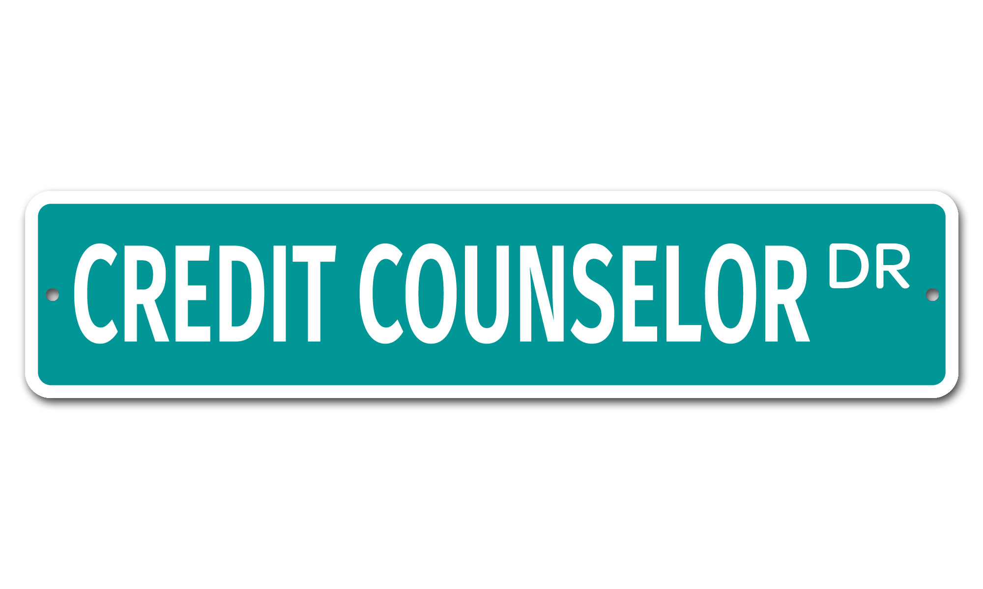 5720 SS Credit Counselor 4" x 18" Novelty Street Sign Aluminum | eBay